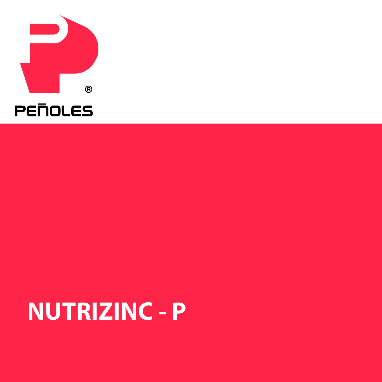 NutriZinc Polvo | DEMIFOX